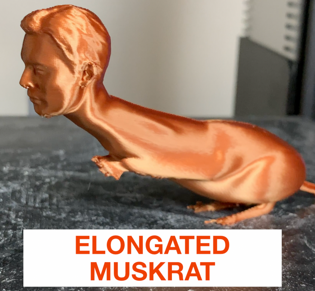 Elongated Muskrat – 3D Printer Academy